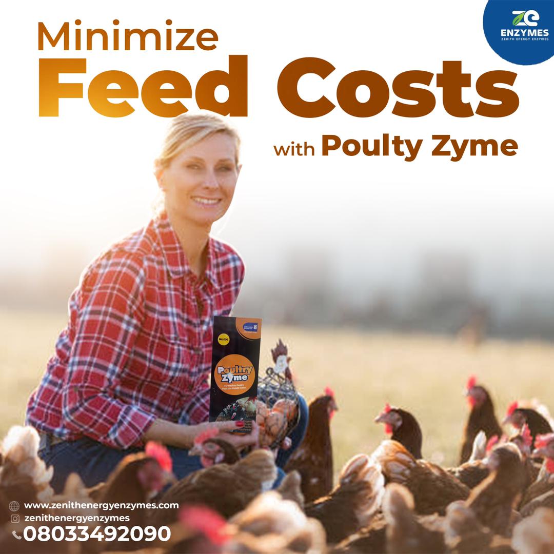 Poultry Zyme Protect Farm From Bird Flu - Zenith Energy Enzymes